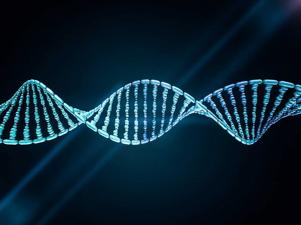 Custom Manufactured Products - Biomay AG